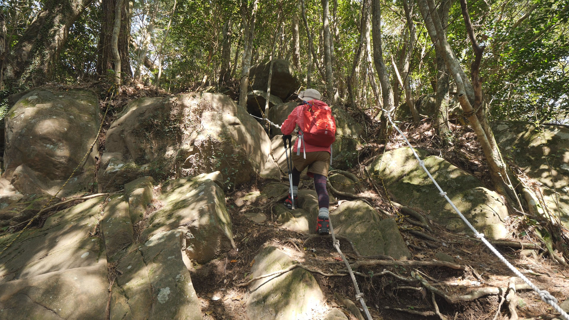 神宿る山をゆく ～釈迦ヶ岳・国富町～|おすすめ番組/おすすめ動画｜satonoka