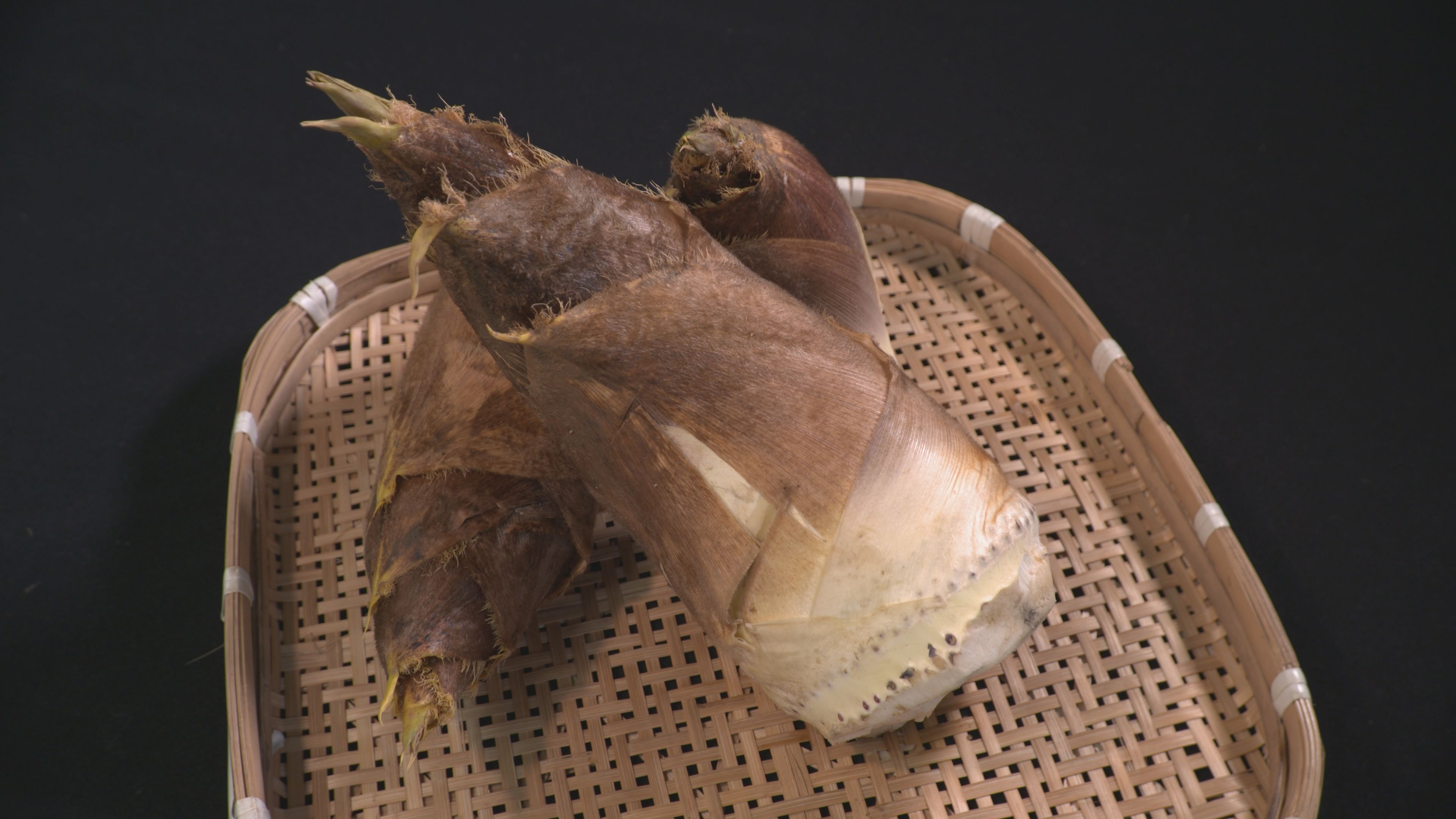 四季菜々 美里たけのこ|おすすめ番組/おすすめ動画｜satonoka